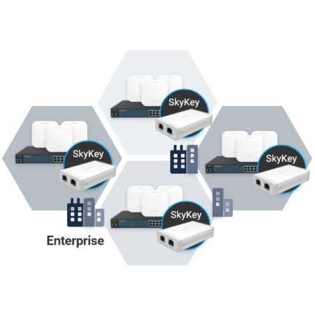 Engenius SkyKey Central Device Management Engenius AP, Sw 100 Device